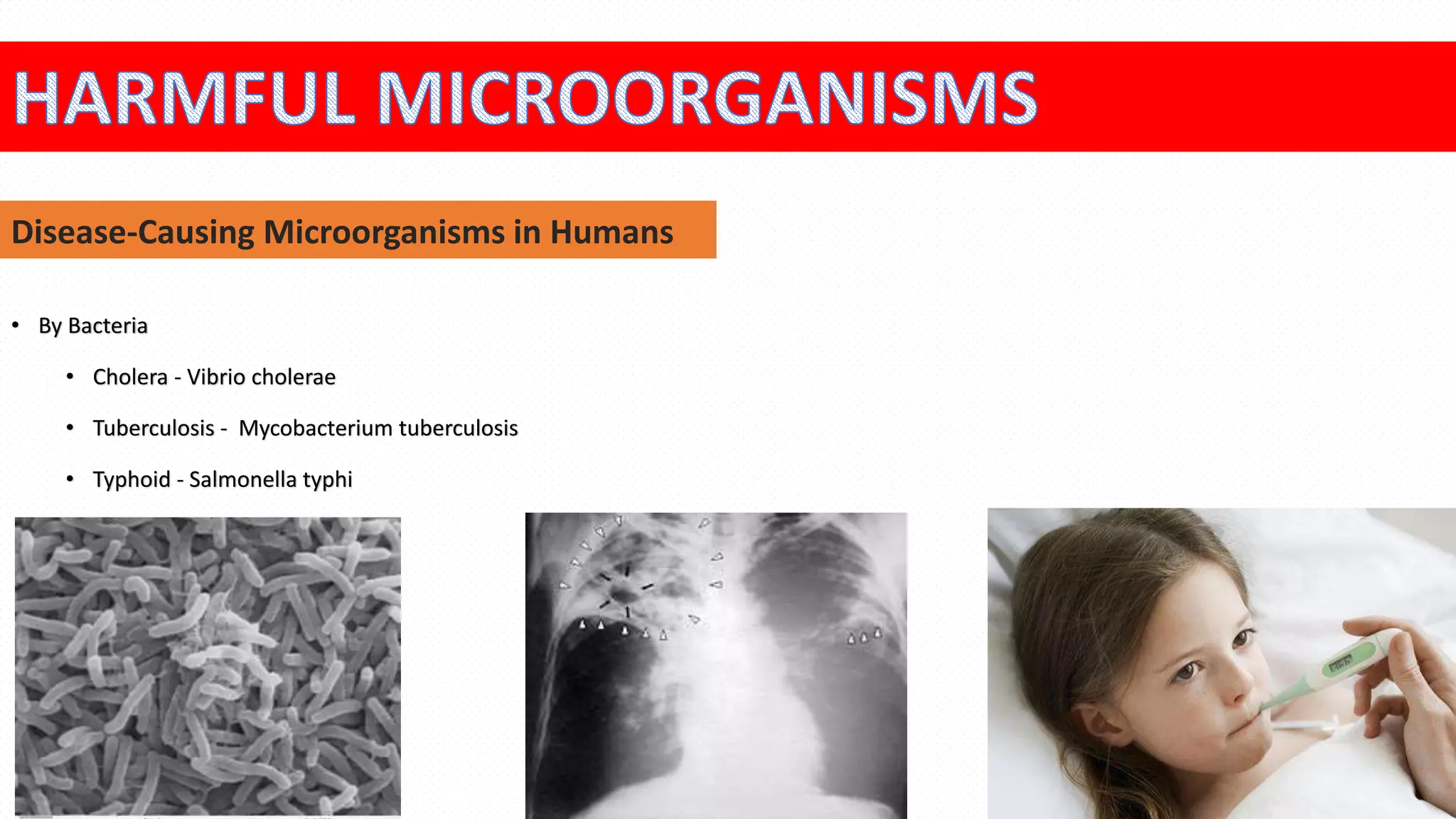 Microorganism | PPTX | Infectious Diseases | Diseases and Conditions