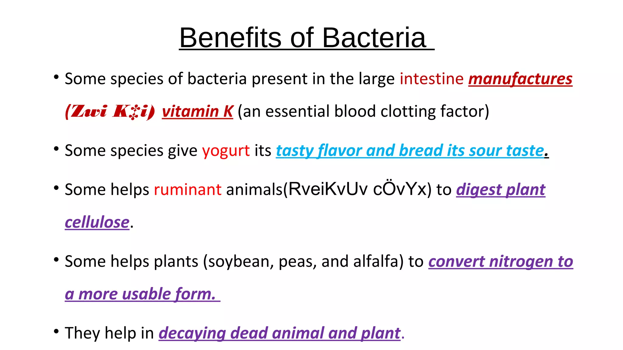 Bacteria & Microbiology | PPT