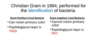 Bacteria & Microbiology | PPT