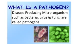 Bacteria & Microbiology | PPT