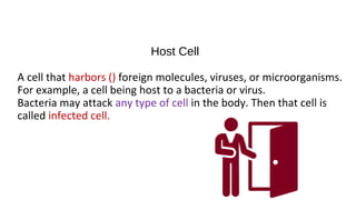 Bacteria & Microbiology | PPT