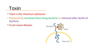 Bacteria & Microbiology | PPT