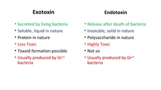 Bacteria & Microbiology | PPT