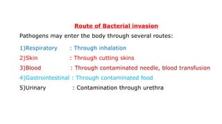 Bacteria & Microbiology | PPT