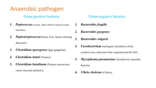Bacteria & Microbiology | PPT