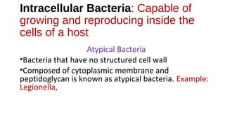 Bacteria & Microbiology | PPT
