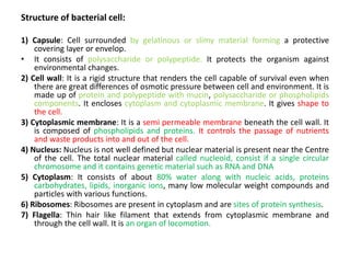 MICROORGANISM.pptx