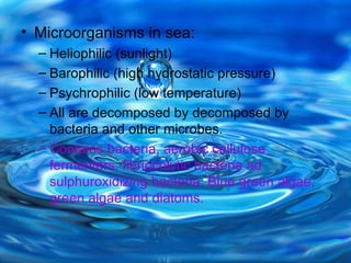 Water Microbes