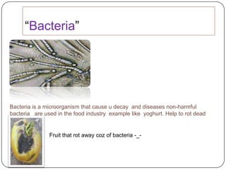 Microorganism By Azka Cantik | PPTX