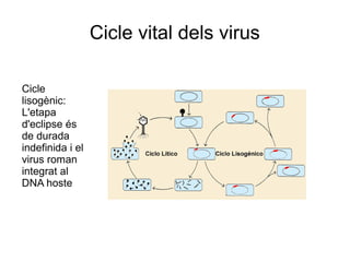 Microorganismes 2 virus work | ODP