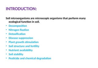 Microorganism in soil process in microbiology | PPTX