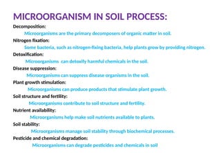 Microorganism in soil process in microbiology | PPTX