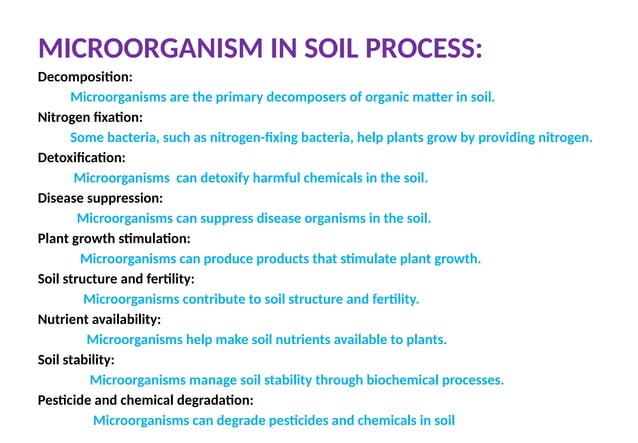 Microorganism in soil process in microbiology | PPT