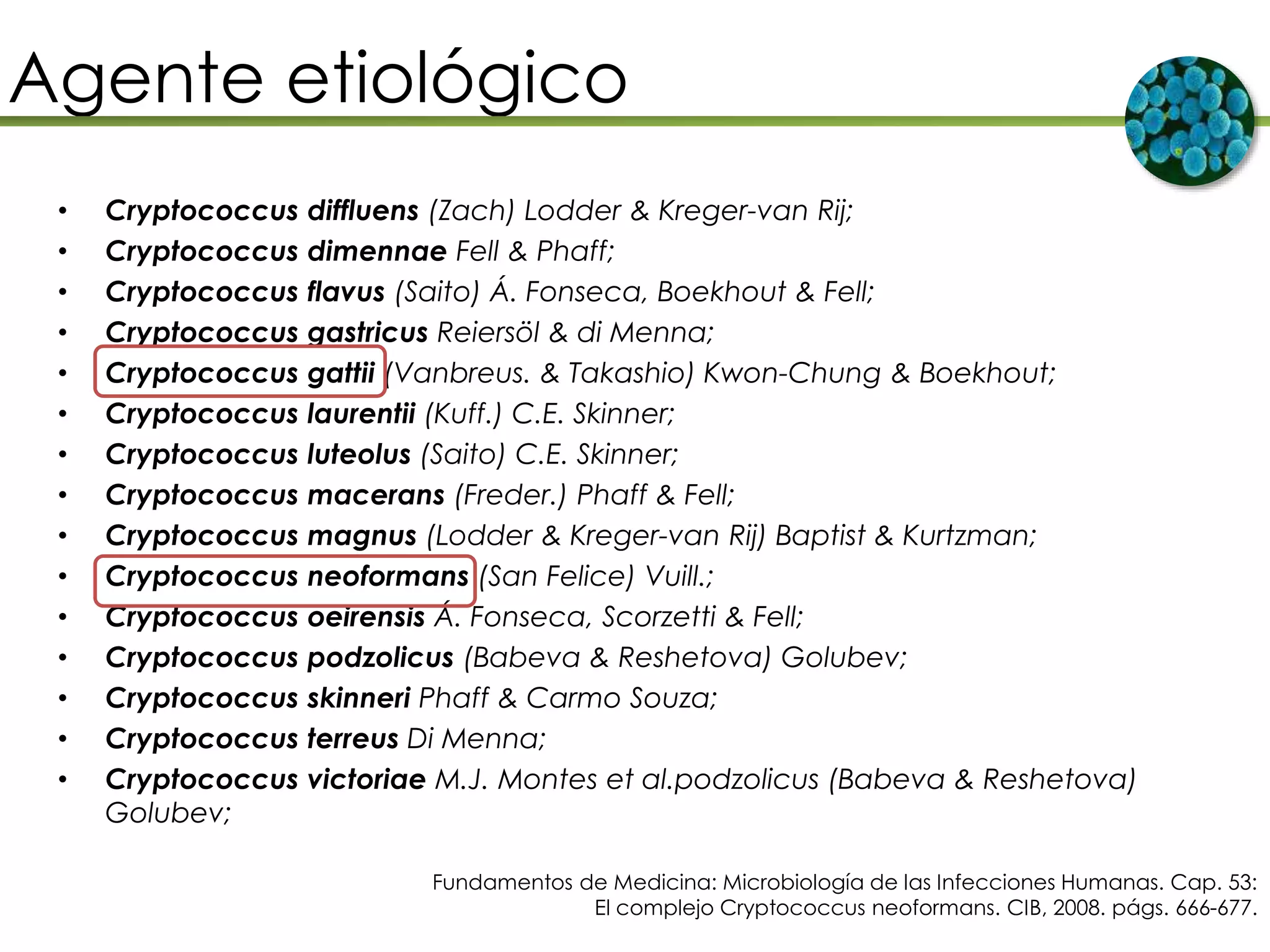Micro organismo del mes cryptococcus | PPTX | Infectious Diseases ...