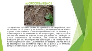 Microorganismos | PPTX