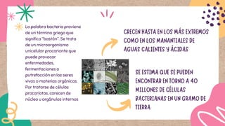 MICROORGANISMOS DE AGUA ESTANCADA | PDF