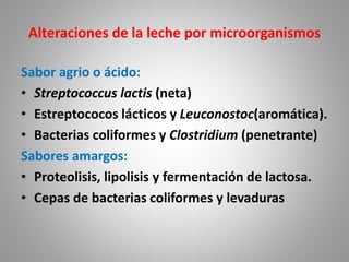 Microorganismos de la leche | PPTX