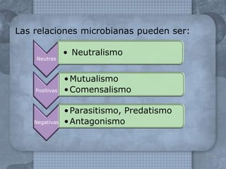 Microorganismos listo. | PPTX