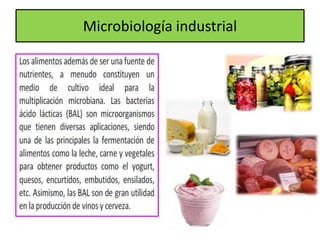 Microorganismos En Los Alimentos