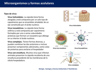 MICROORGANISMOS Y FORMAS ACELULARES.pptx