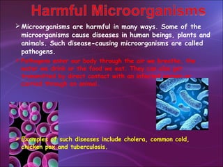 Microorganism our enemy | PPT