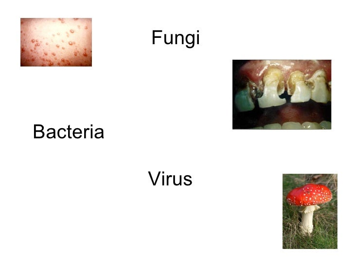 Microorganisms ks2