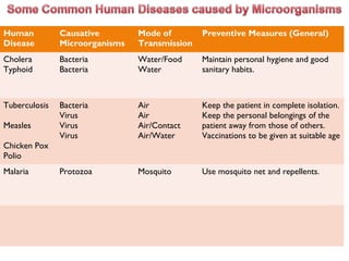 Microorganisms | PPT