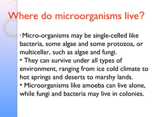 Microorganisms | PPT