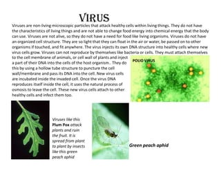 Microorganisms | PDF