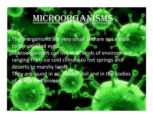 Microorganisms | PPT