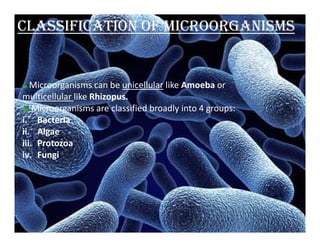 Microorganisms | PPT