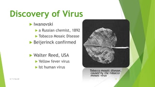 Micro organisms | PPTX