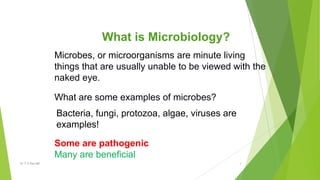 Micro organisms | PPT