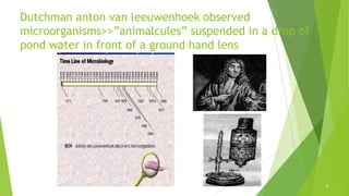 Micro organisms | PPTX