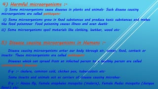 Microorganisms | PPTX