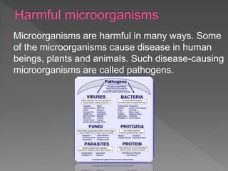 Microorganisms | PPT