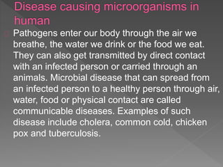 Microorganisms | PPT