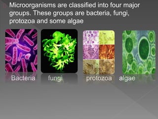Microorganisms 140824111351-phpapp02 | PPT