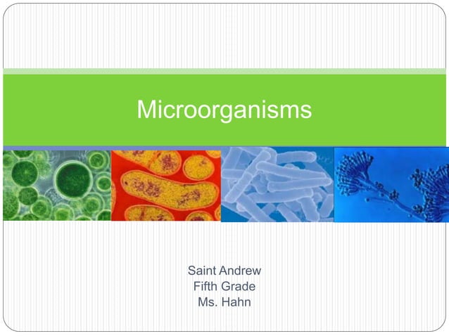 Microorganisms | PPT