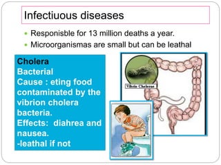 Microorganisms | PPTX