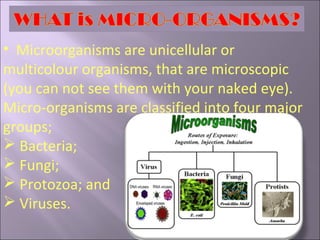 Microorganisms Freind And Foe | PPT