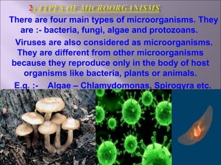 Microorganisms Freind And Foe | PPT