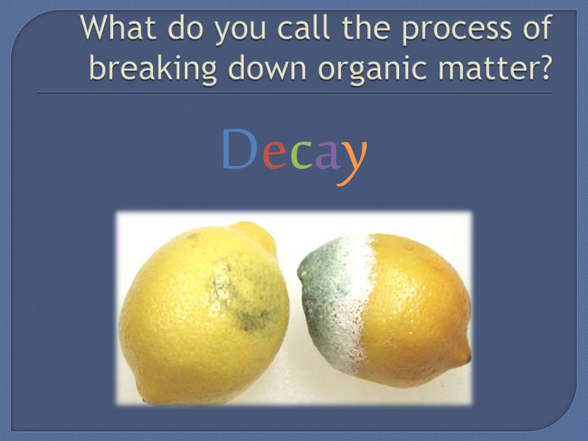 Microorganisms | PPTX