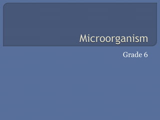 Microorganisms | PPTX