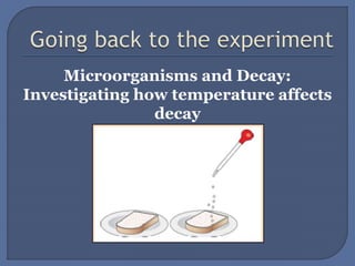 Microorganisms | PPTX