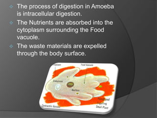 MICROORGANISMS | PPT