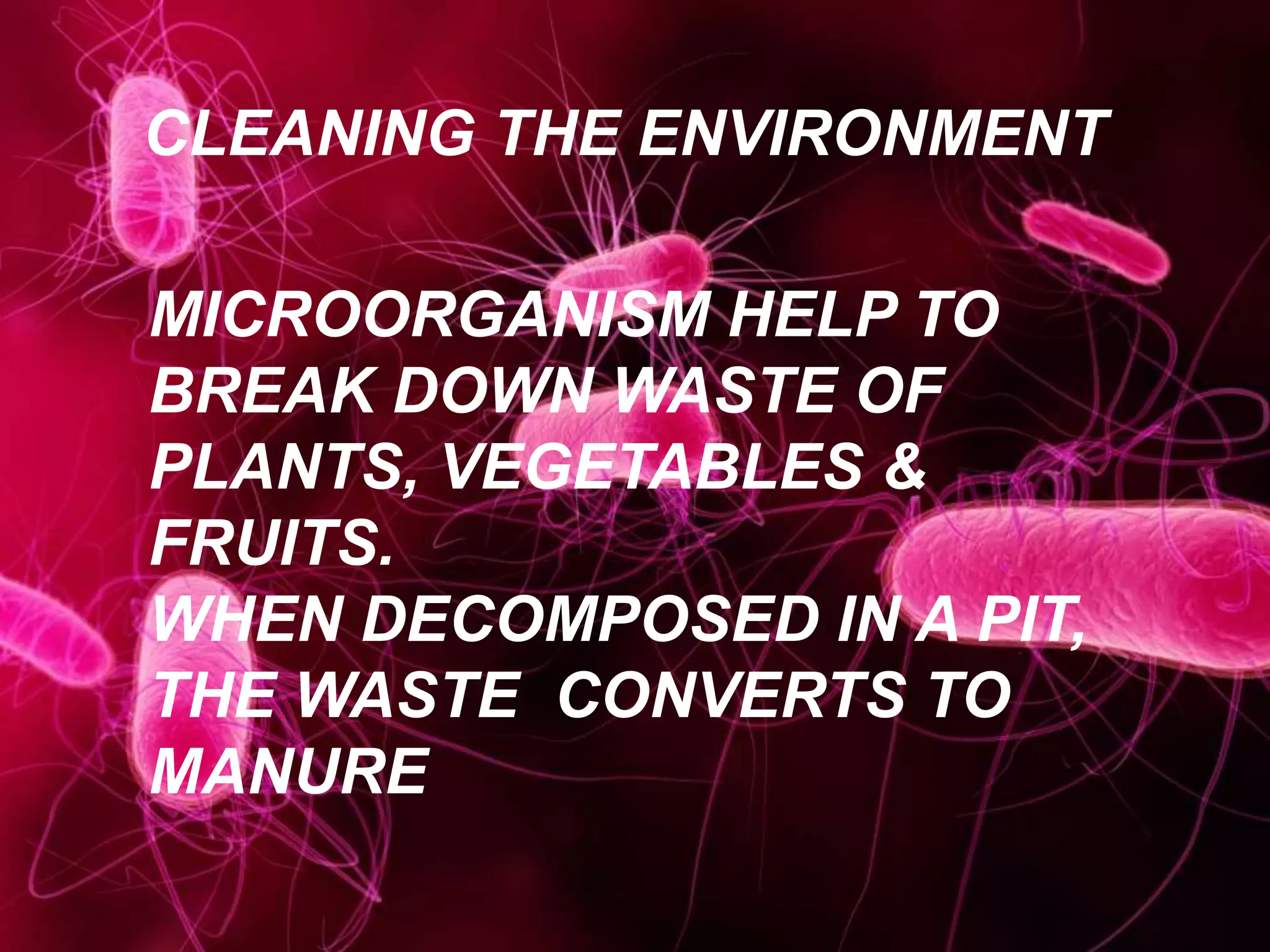 Microorganisms | PPTX