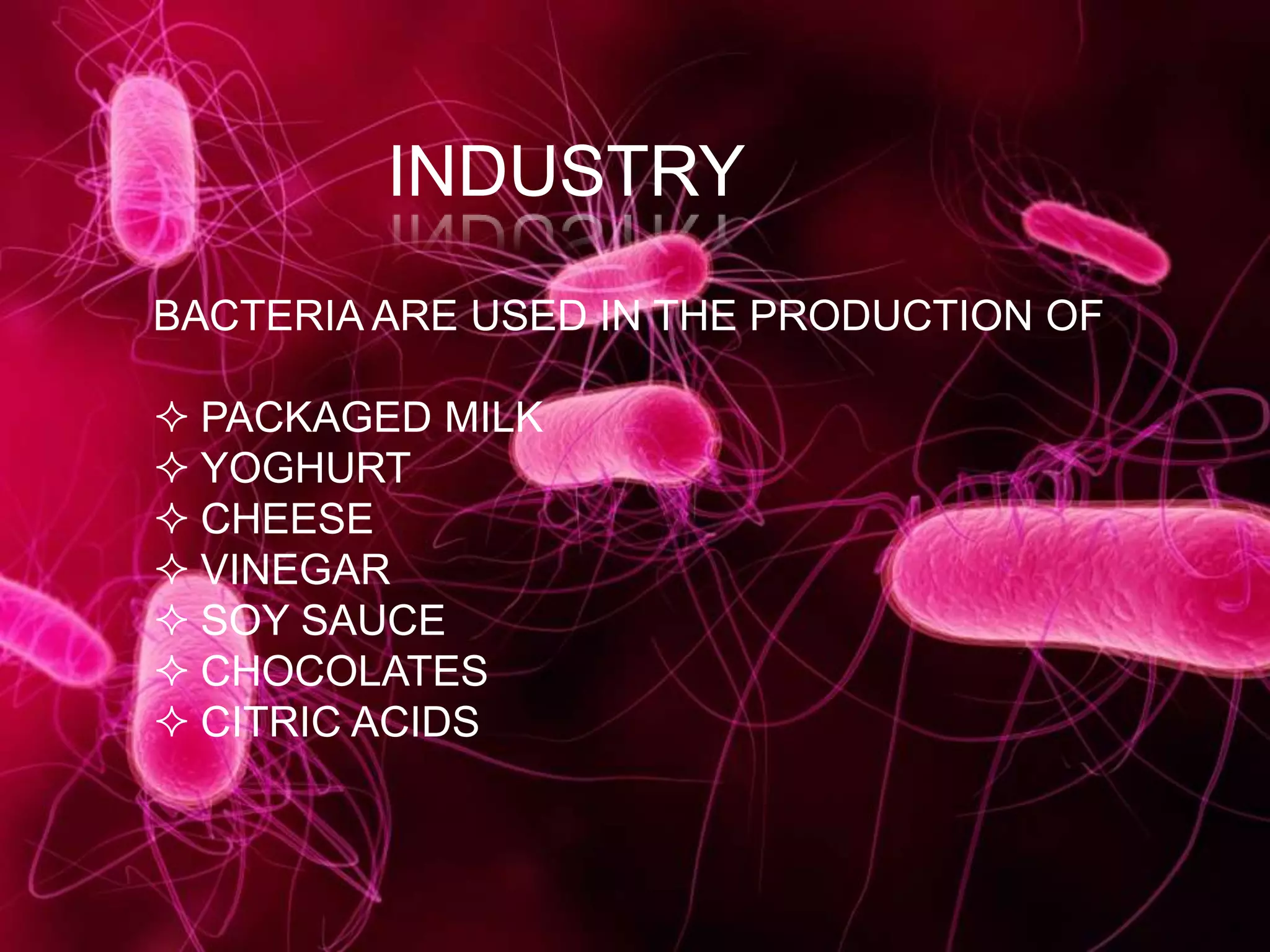 Microorganisms | PPTX