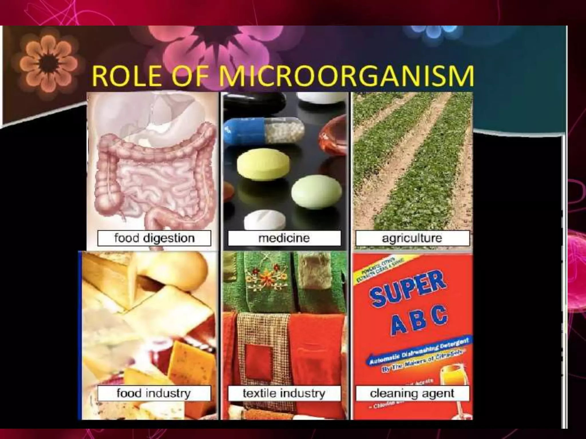 Microorganisms | PPTX