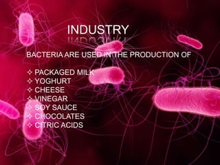 Microorganisms | PPTX